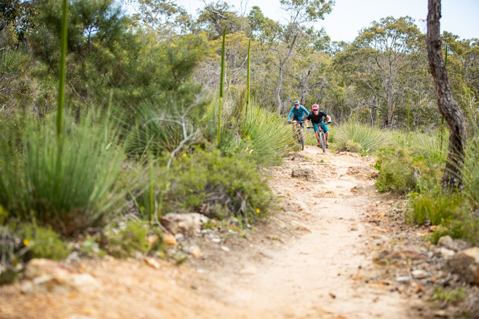 New mountain bike trails in Yellagonga Regional Park – TrailsWA Projects